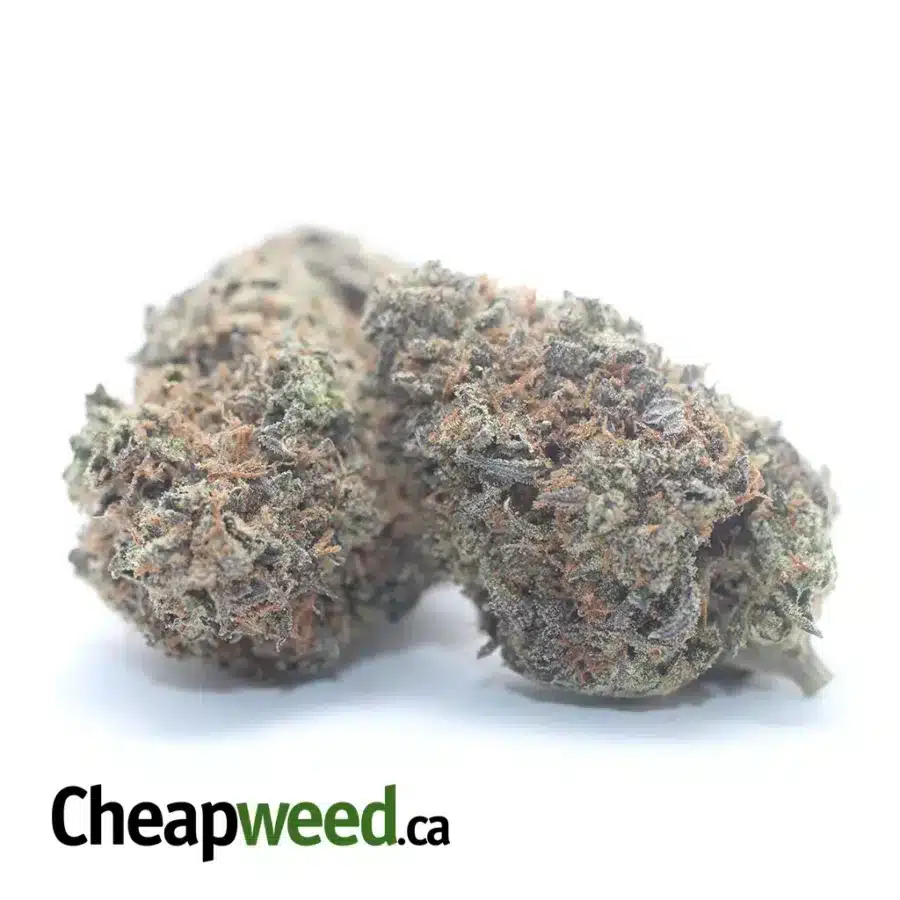 Buy Bulk Weed Online at Cheap Weed | Canada's #1 Dispensary