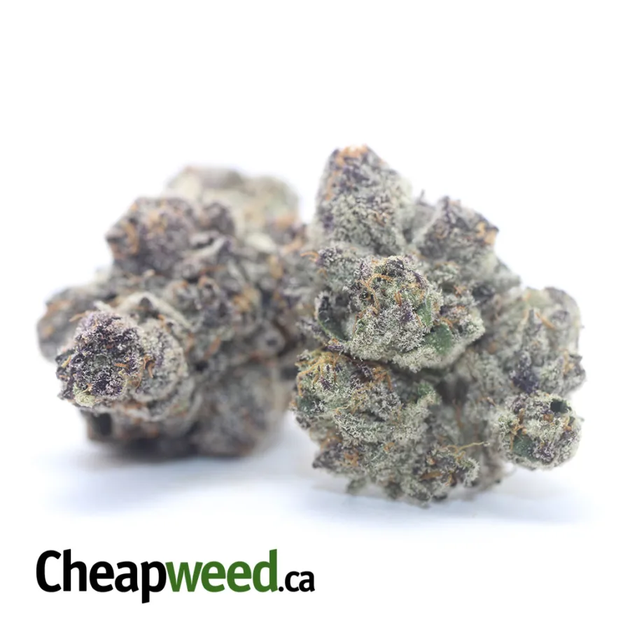 Buy Bulk Weed Online at Cheap Weed | Canada's #1 Dispensary