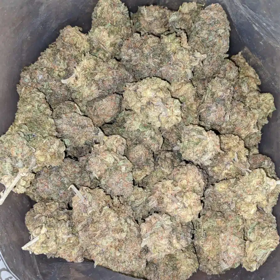 Buy Bulk $ 44 Oz - Runtz Strain - Cheap Weed Pounds & Reviews