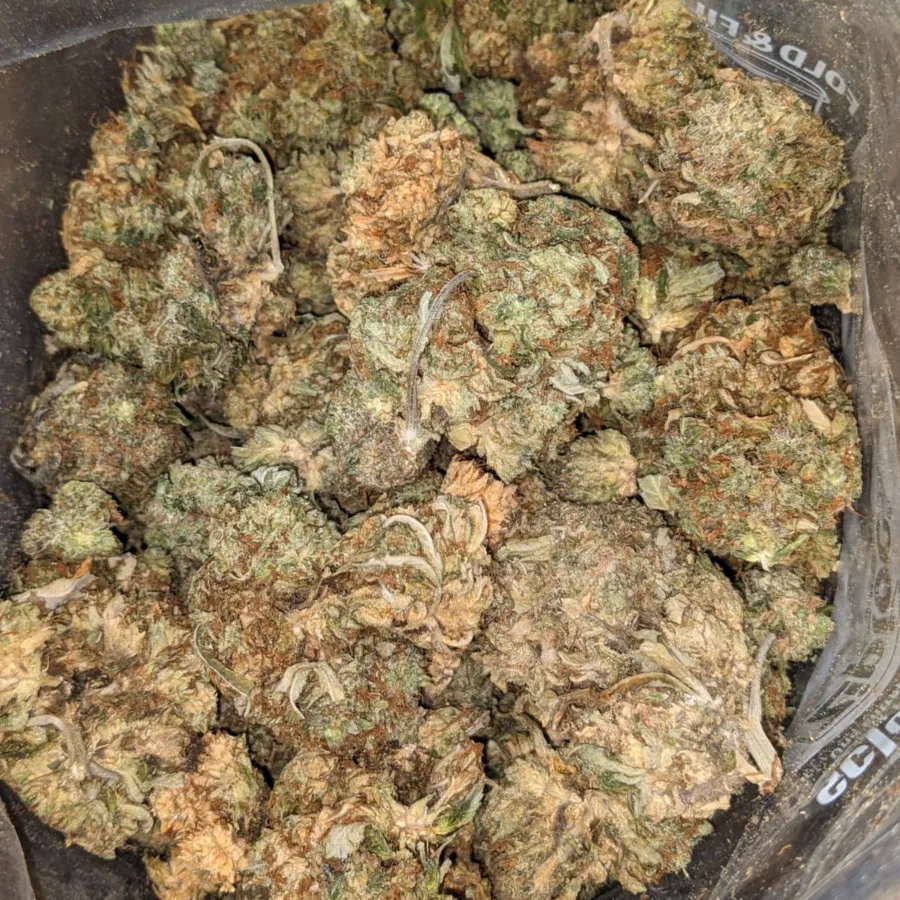 Buy Bulk AA Amnesia Haze Strain - Cheap Weed Pounds & Reviews
