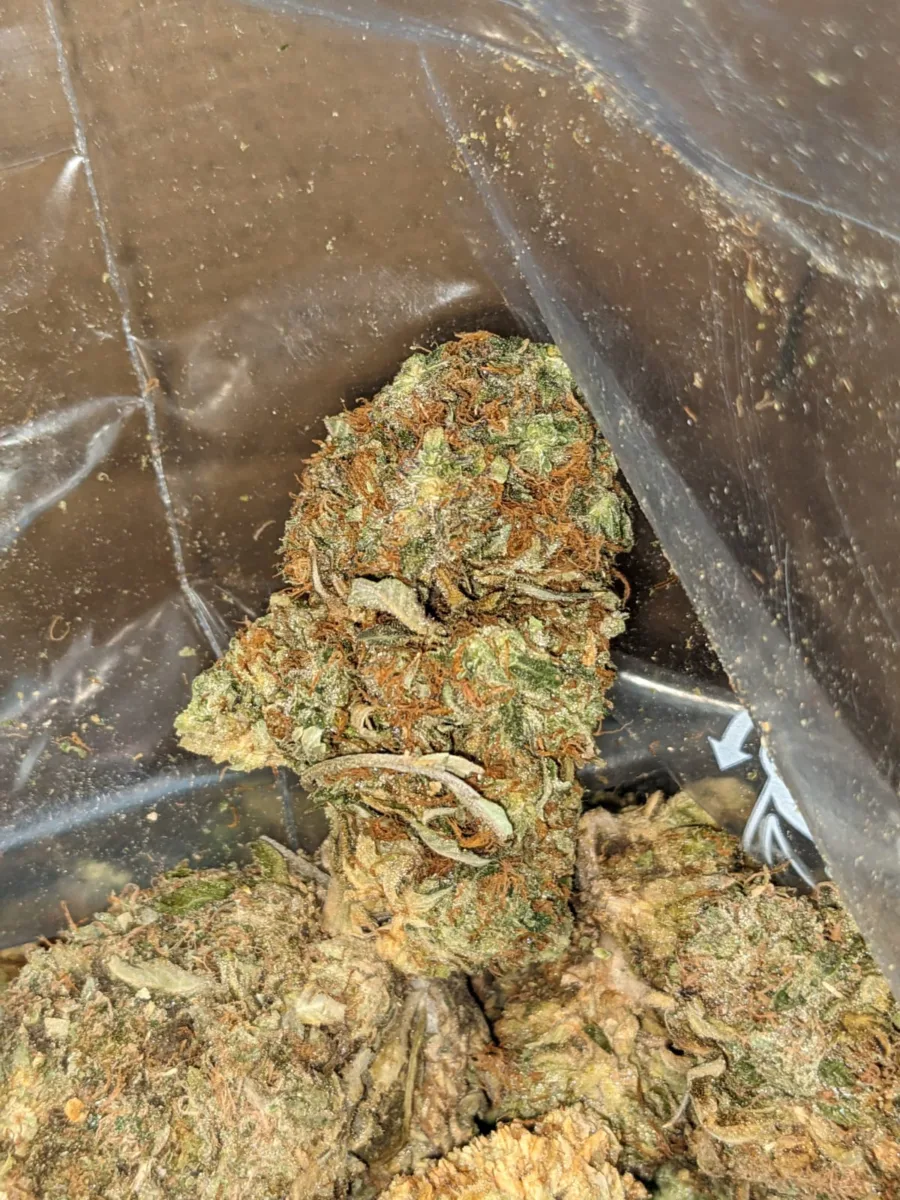 Buy Bulk AA Amnesia Haze Strain - Cheap Weed Pounds & Reviews