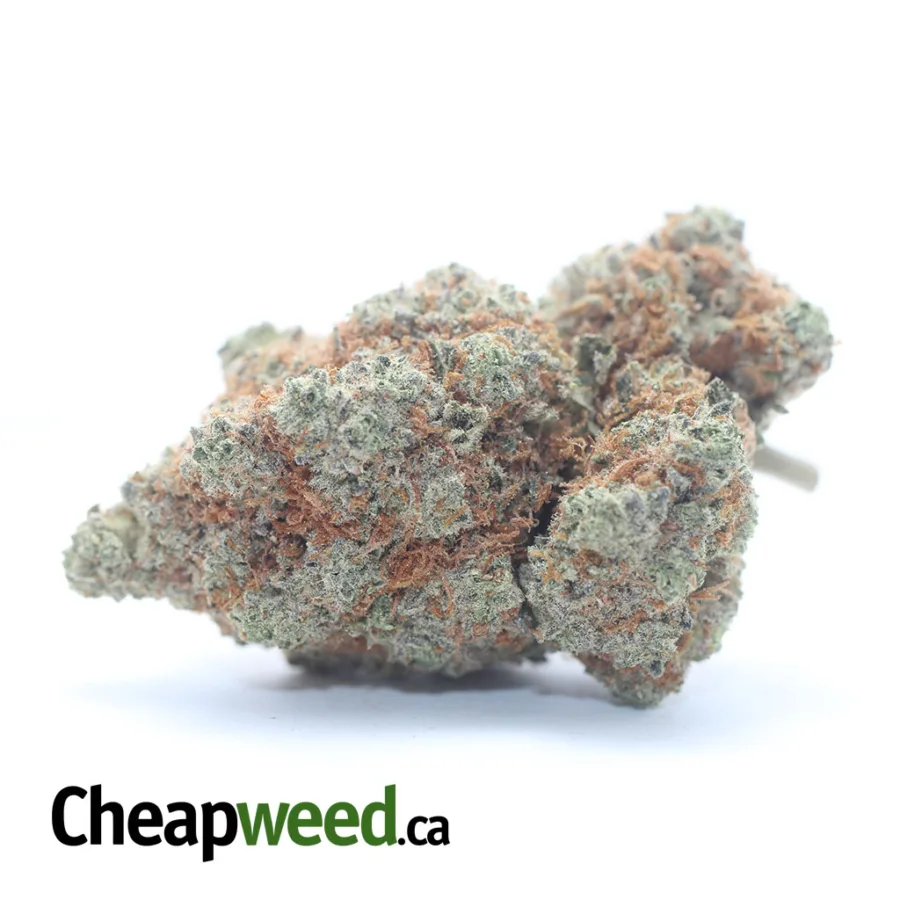 Buy Bulk Weed Online at Cheap Weed | Canada's #1 Dispensary