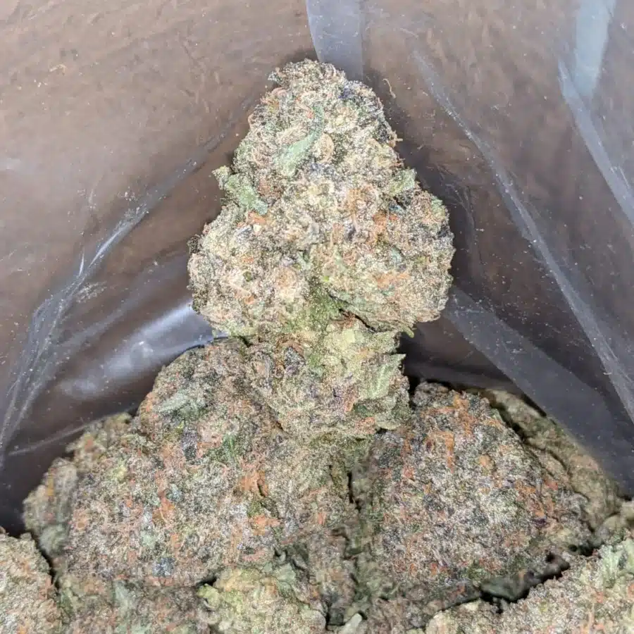 Buy Bulk The Original Z Strain - Cheap Weed Pounds & Reviews