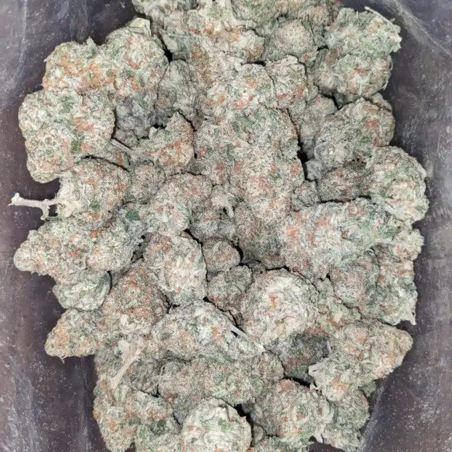 Buy Bulk M.A.C Cookies Strain - Cheap Weed Pounds & Reviews