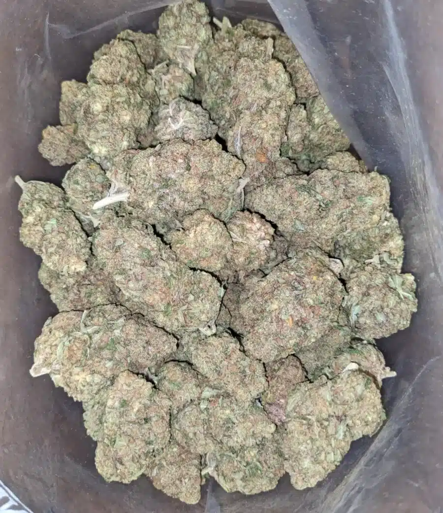 Buy Bulk $ 42 Oz - Apple To Apples Strain - Cheap Weed Pounds & Reviews