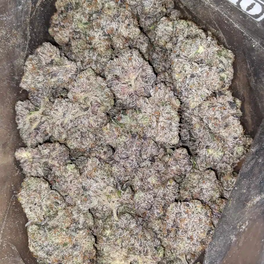 Buy Bulk Purple Rockstar Strain - Cheap Weed Pounds & Reviews