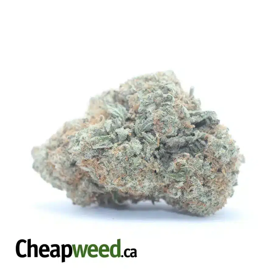 Buy Bulk Italian Ice Strain - Cheap Weed Pounds & Reviews