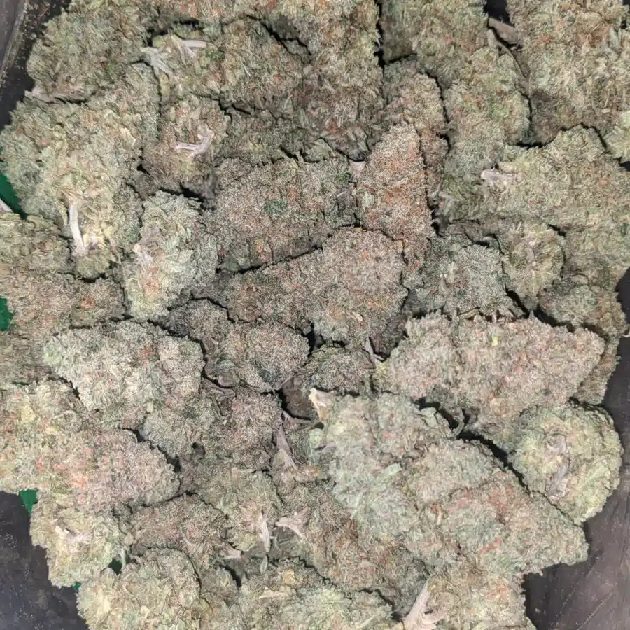 Buy Bulk $ 56 Oz - Runtz Strain - Cheap Weed Pounds & Reviews