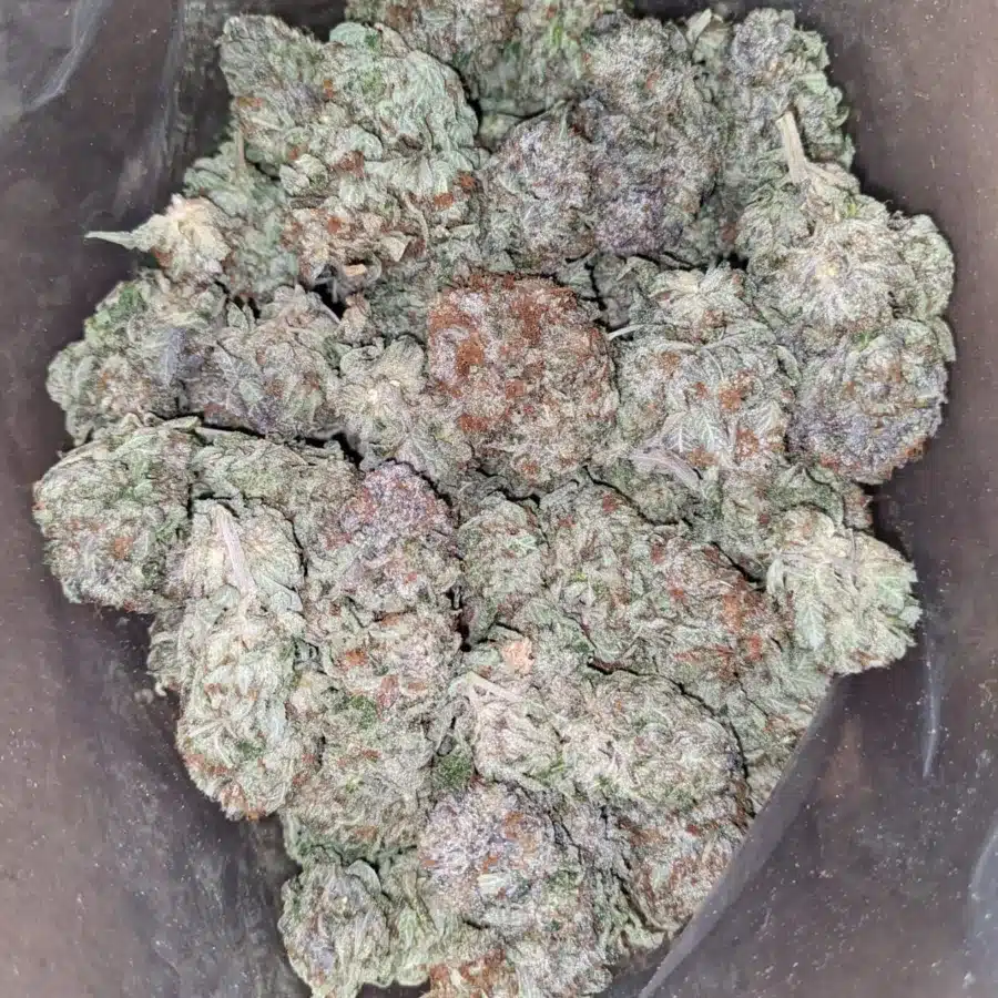 Buy Bulk Tony's Pink Gas Strain - Cheap Weed Pounds & Reviews
