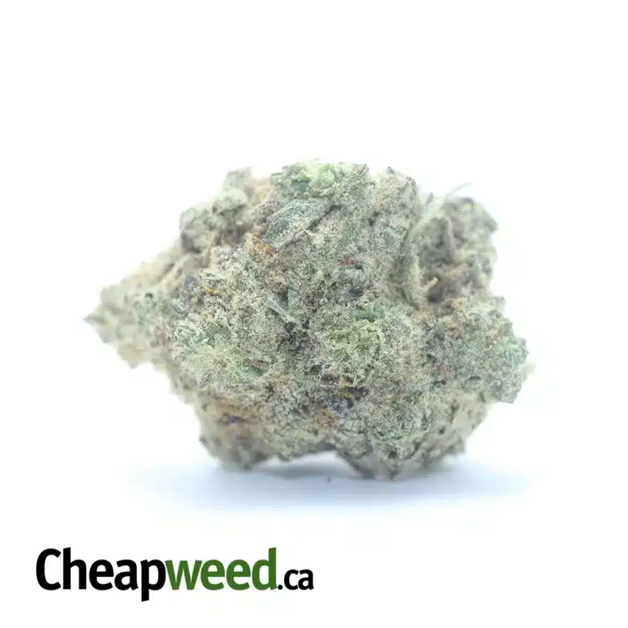 Buy Bulk Weed Online at Cheap Weed | Canada's #1 Dispensary