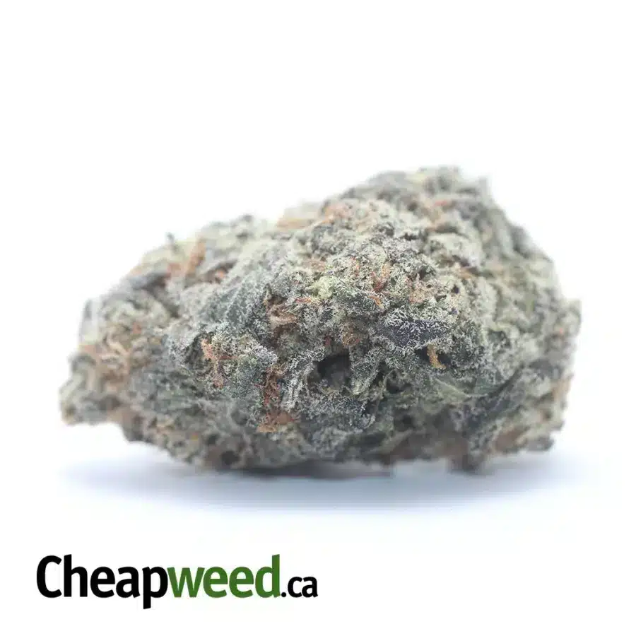 Buy Bulk Gelato Zkittles Strain - Cheap Weed Pounds & Reviews