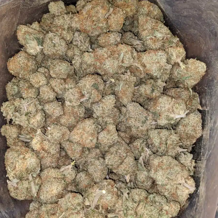 Buy Bulk Berry Bomb Strain - Cheap Weed Pounds & Reviews