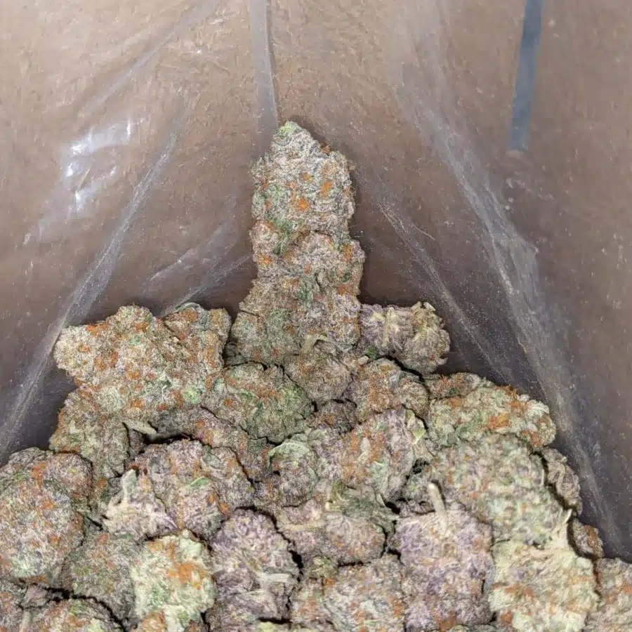 Buy Bulk Candy Rain Strain - Cheap Weed Pounds & Reviews
