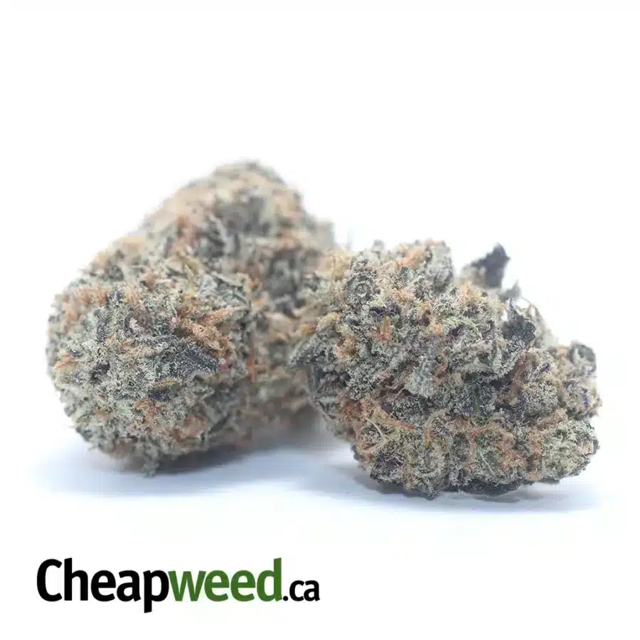 Buy Bulk Weed Online at Cheap Weed | Canada's #1 Dispensary