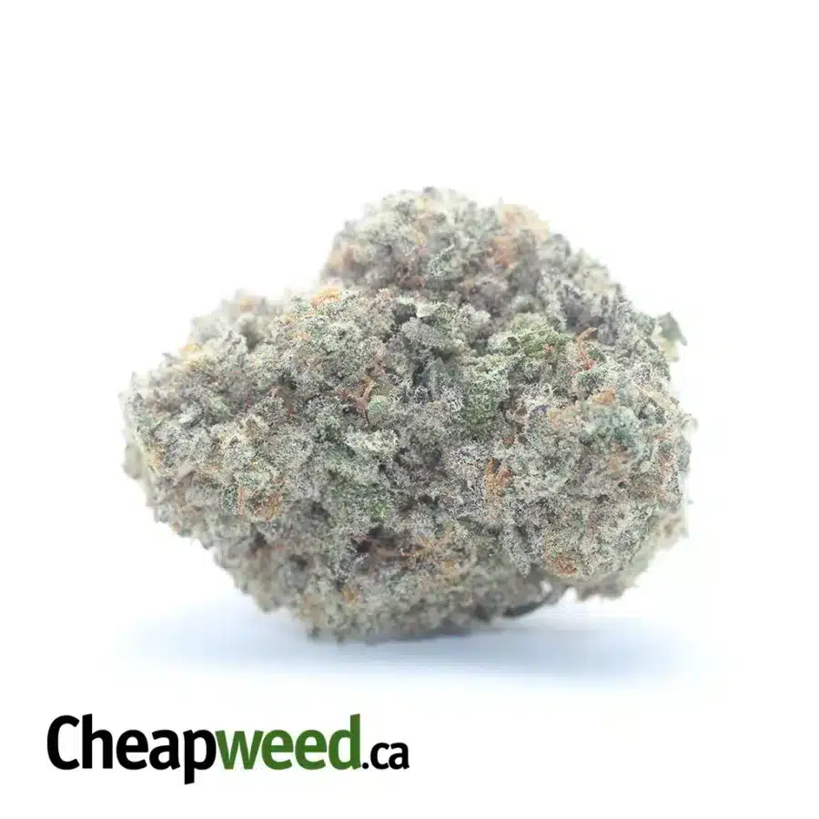 Canada Marijuana Pricing Guide - Cheap Weed