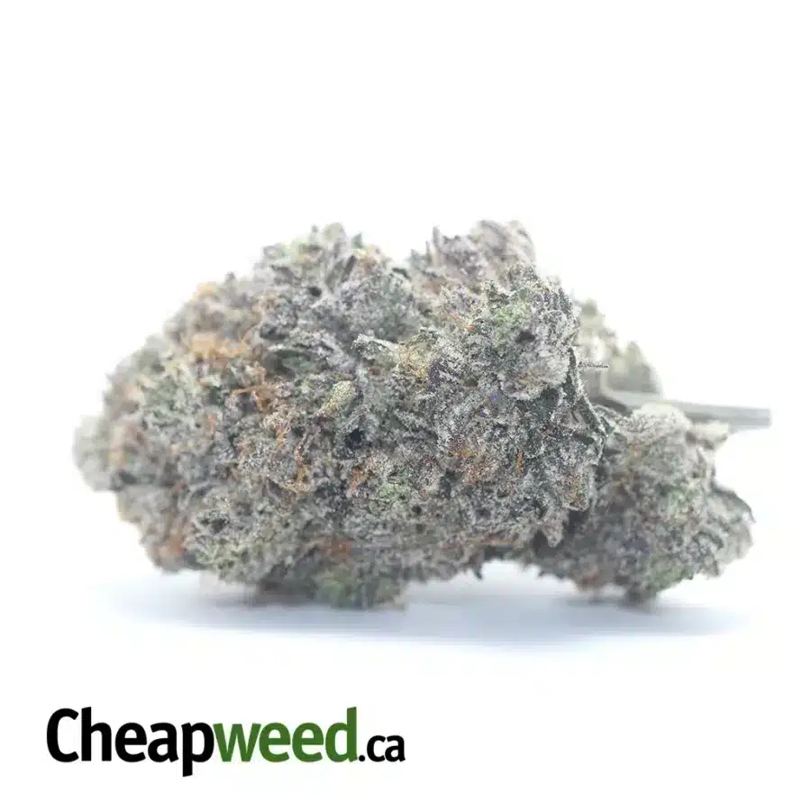 Buy Bulk Weed Online at Cheap Weed | Canada's #1 Dispensary