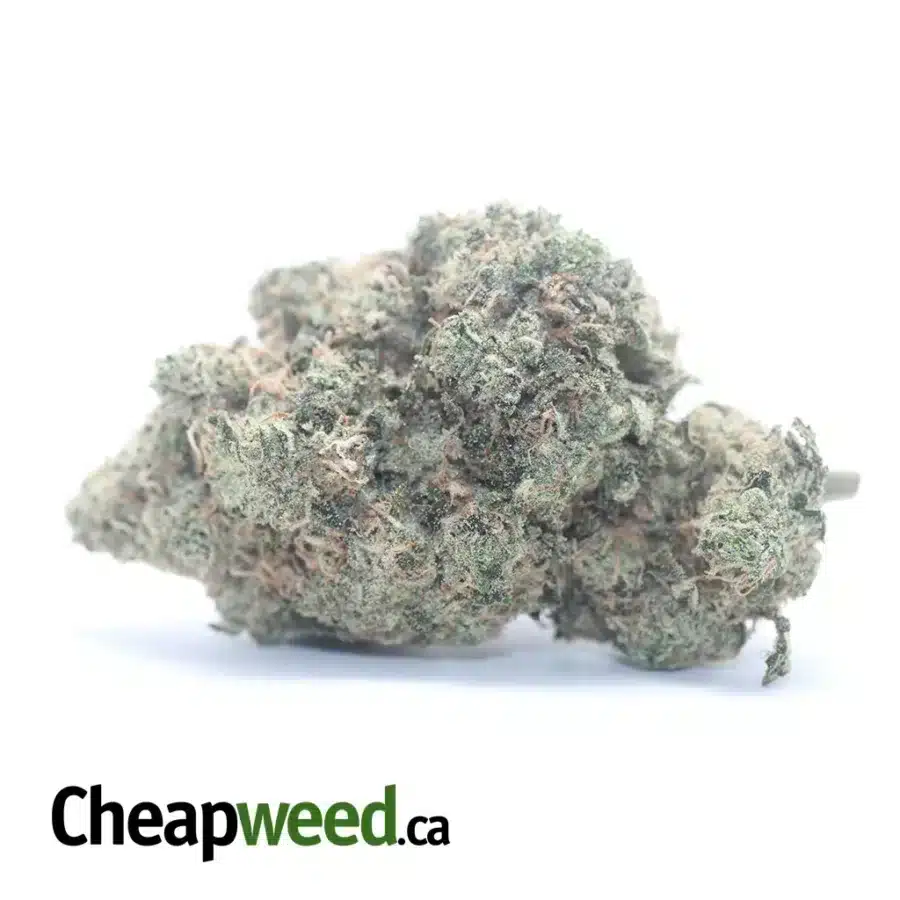 Buy Bulk Tangerine Dream Strain - Cheap Weed Pounds & Reviews