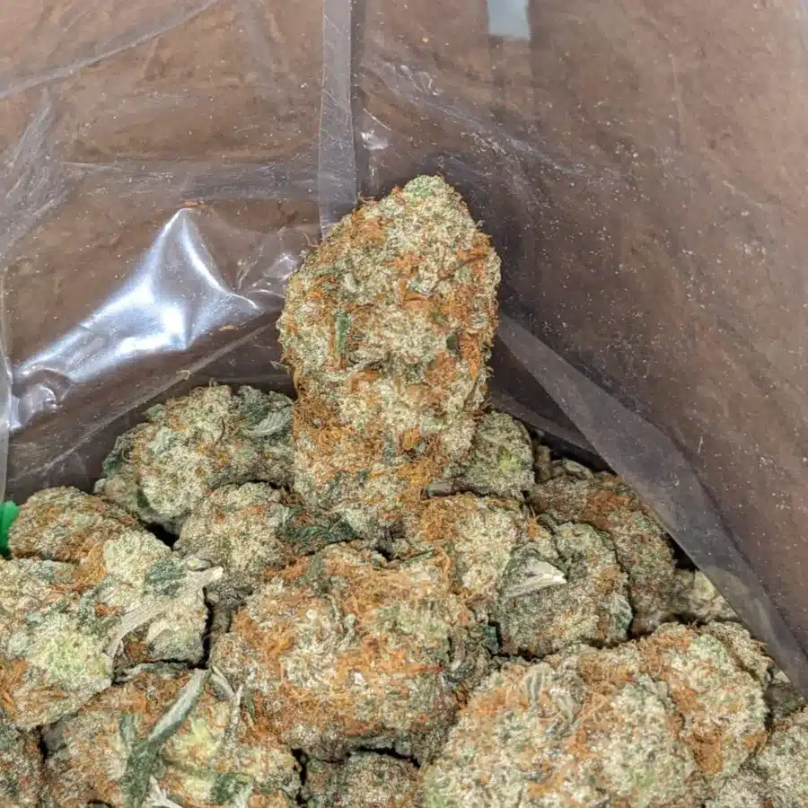 Buy Bulk $45oz Wedding Pie Strain - Cheap Weed Pounds & Reviews