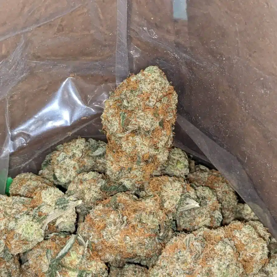 Buy Bulk $45oz Wedding Pie Strain - Cheap Weed Pounds & Reviews
