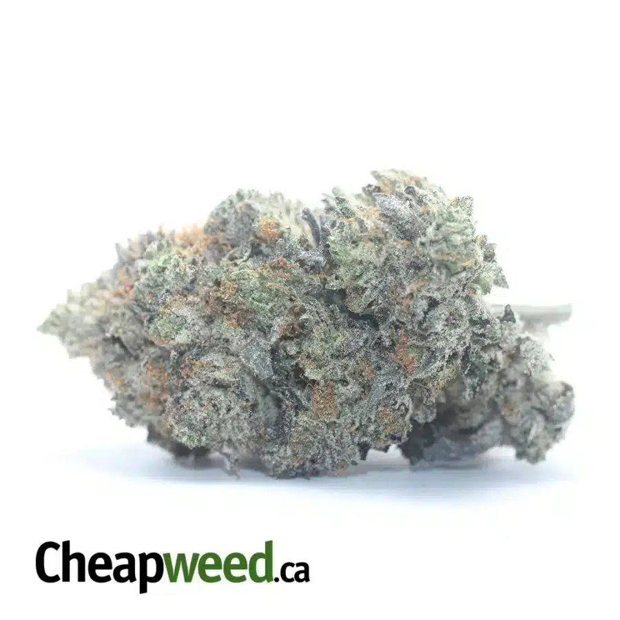 Buy Bulk Weed Online at Cheap Weed | Canada's #1 Dispensary