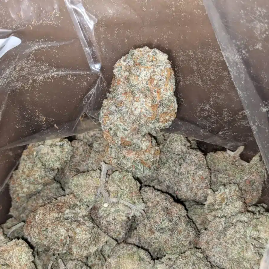 Buy Bulk Jack Herer Strain - Cheap Weed Pounds & Reviews