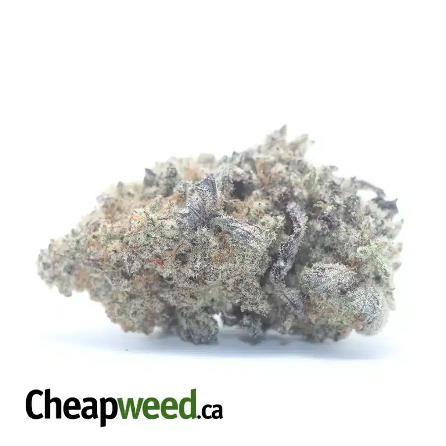 Buy Bulk Lavender Kush Cake Strain - Cheap Weed Pounds & Reviews