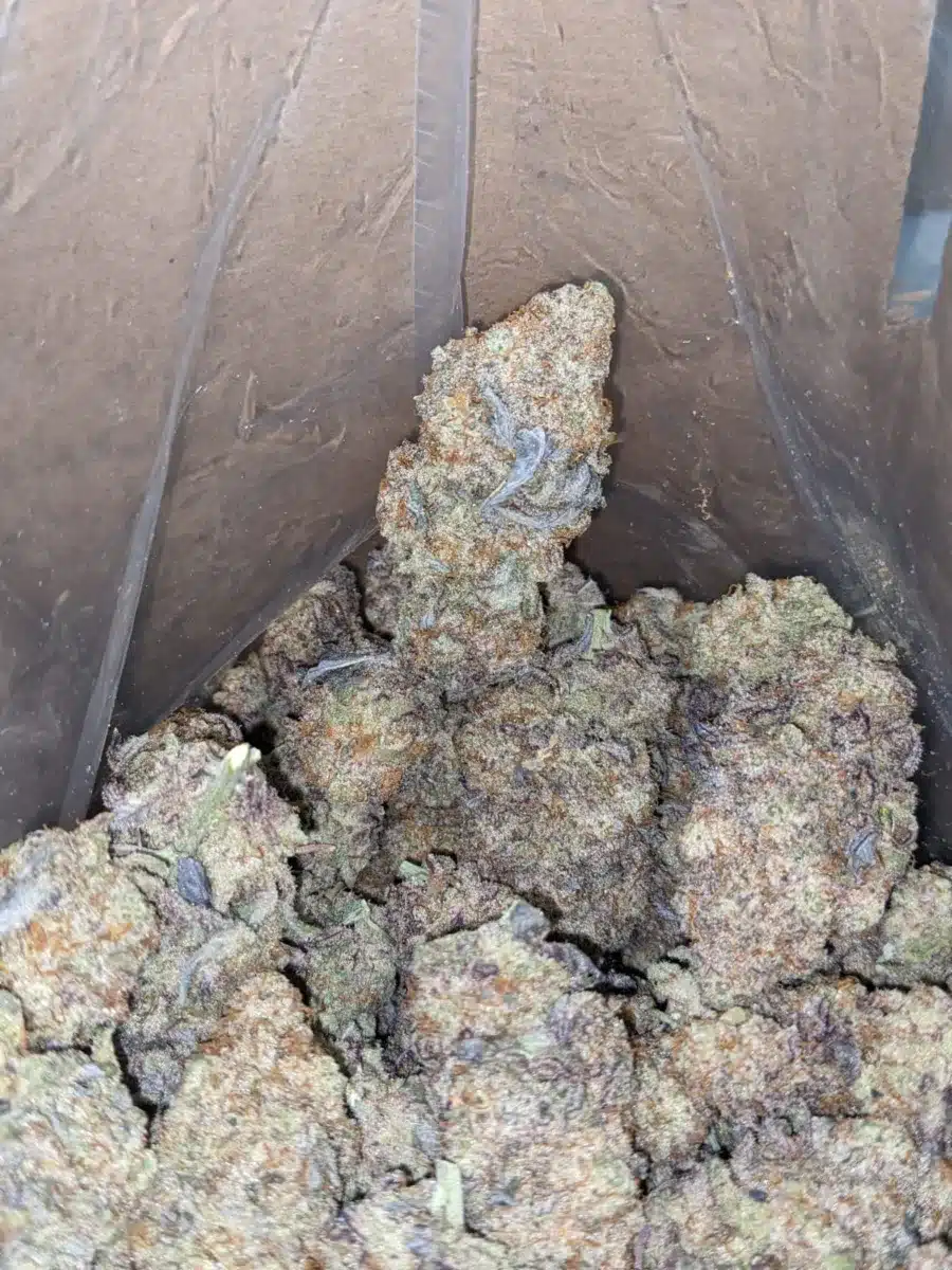 Buy Bulk Lavender Kush Cake Strain - Cheap Weed Pounds & Reviews