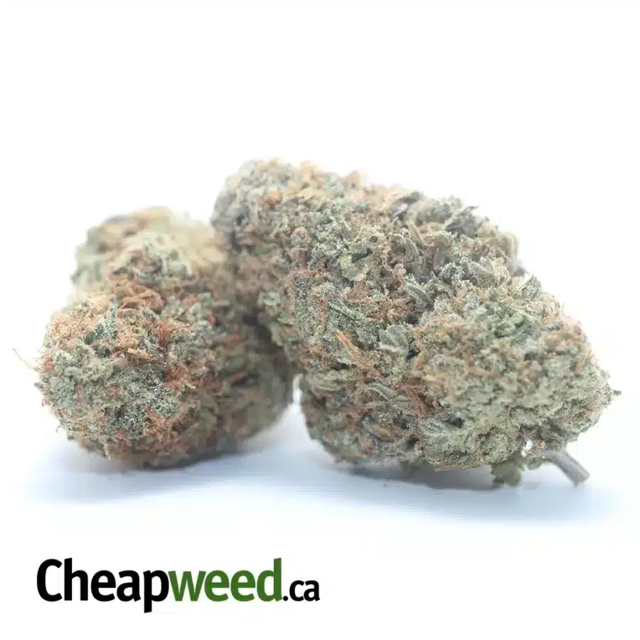 Shop - Cheap Weed