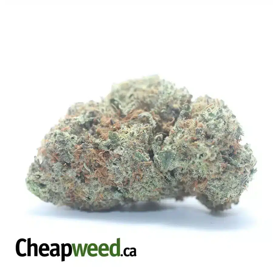 Buy Bulk Weed Online at Cheap Weed | Canada's #1 Dispensary