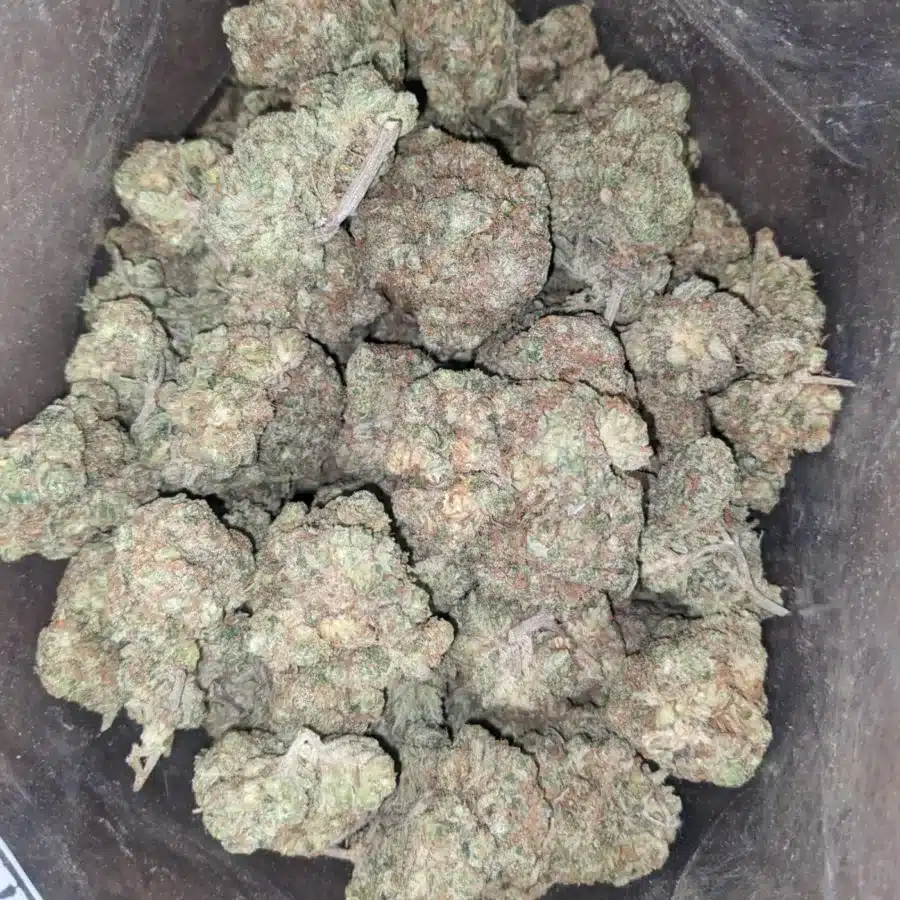 Buy Bulk Wedding Cake Strain - Cheap Weed Pounds & Reviews