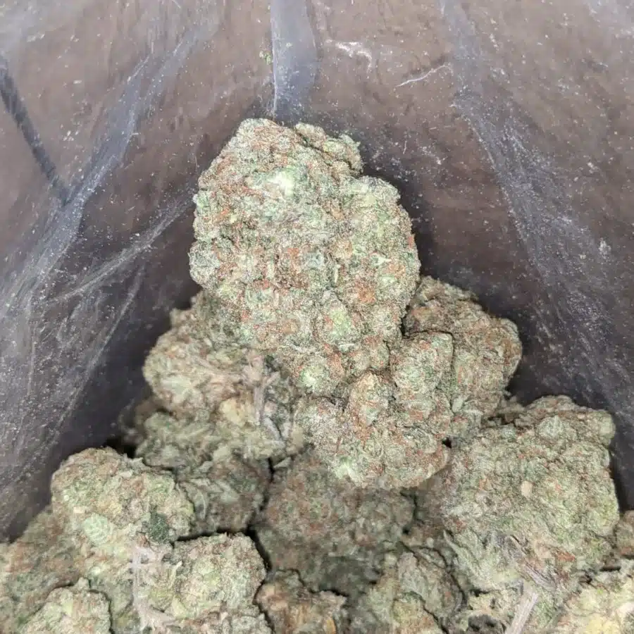Buy Bulk Wedding Cake Strain - Cheap Weed Pounds & Reviews