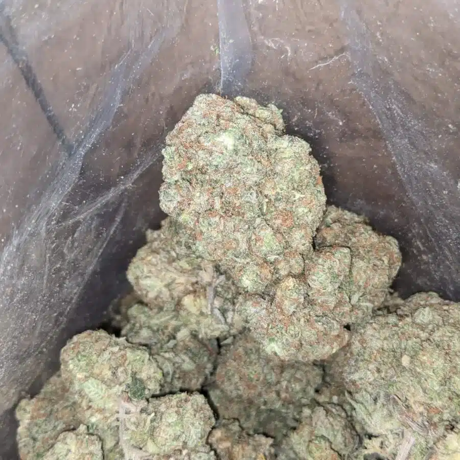 Buy Bulk Wedding Cake Strain - Cheap Weed Pounds & Reviews