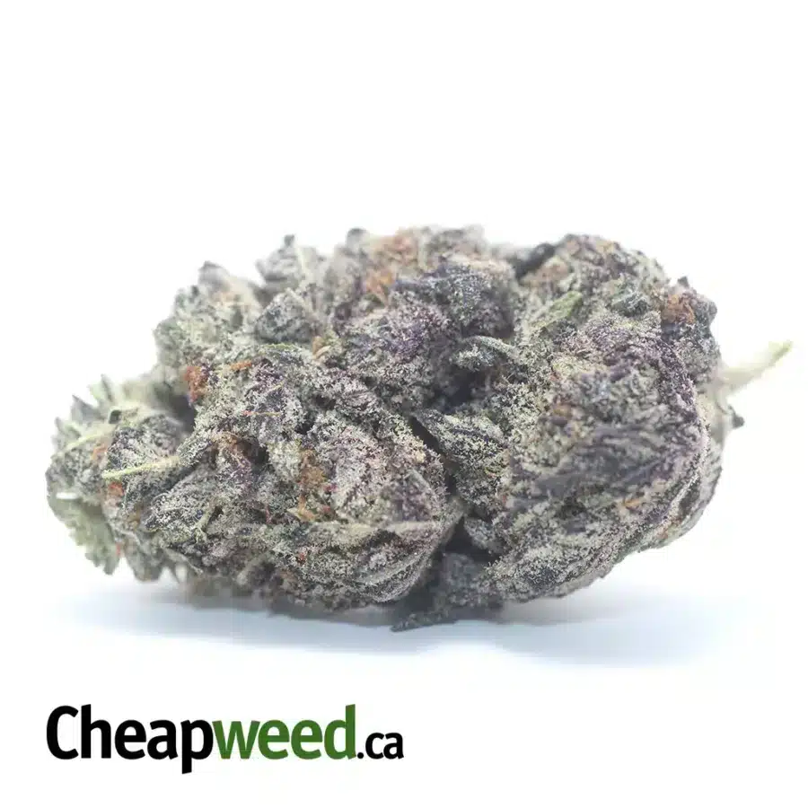 Buy Bulk Purple Space Cookies Strain - Cheap Weed Pounds & Reviews