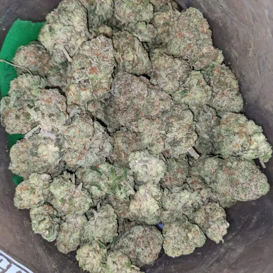 Buy Bulk Triple Burger Strain - Cheap Weed Pounds & Reviews
