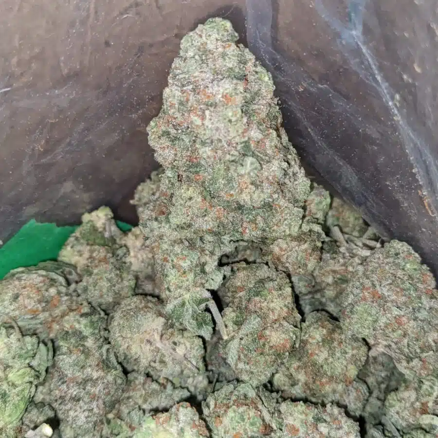 Buy Bulk Triple Burger Strain - Cheap Weed Pounds & Reviews
