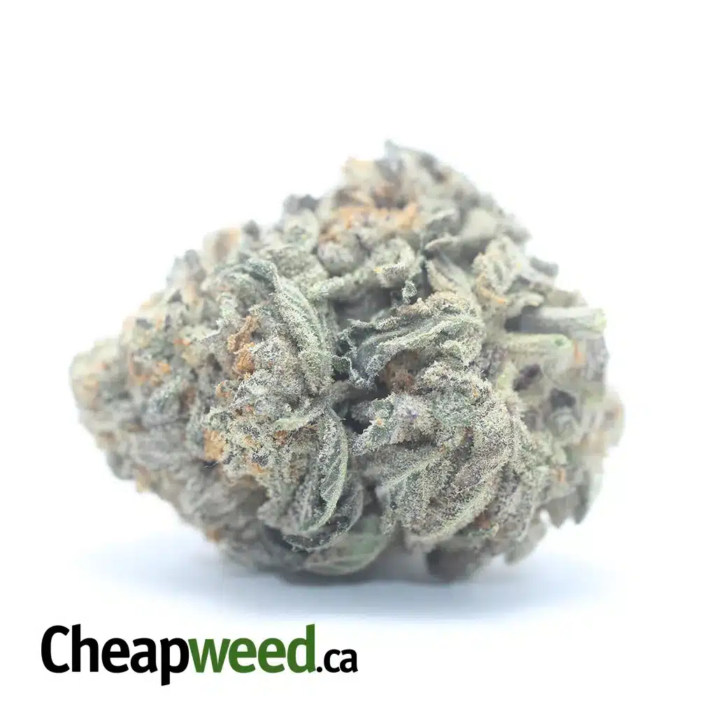 Buy Bulk Ghost Train Haze Strain - Cheap Weed Pounds & Reviews