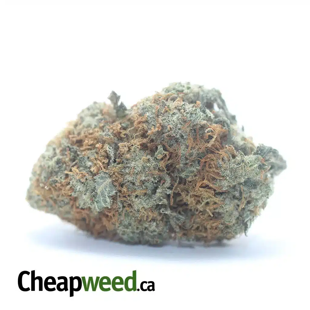 Buy Bulk $45oz Wedding Pie Strain - Cheap Weed Pounds & Reviews